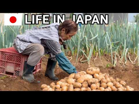 【Living Alone in the Countryside】A Day in the Life of 93 y/o Grandma Kinoe | Japanese home garden