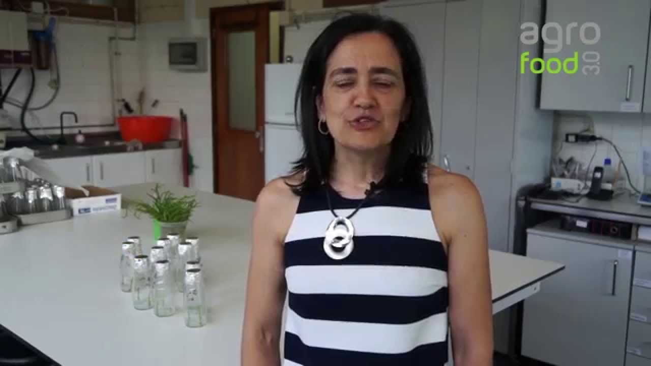 1 Minuto com Fernanda Leal / UTAD - YouTube