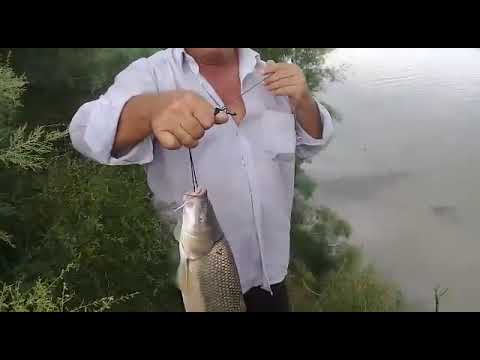 ARAZ ÇAYININ QOLU BALIQ OVU USAC OVU