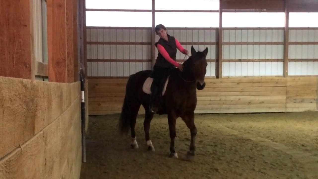 The 5 lateral movements in Dressage. - YouTube