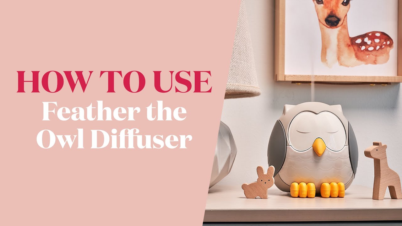How to Use Your Feather the Owl Diffuser | Young Living Europe - YouTube