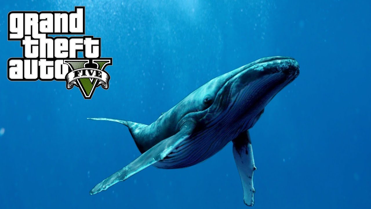 Blue Shark Whale Animal Character In GTA 5 - YouTube