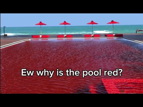 Eww why is the pool red?!? #pool #red 