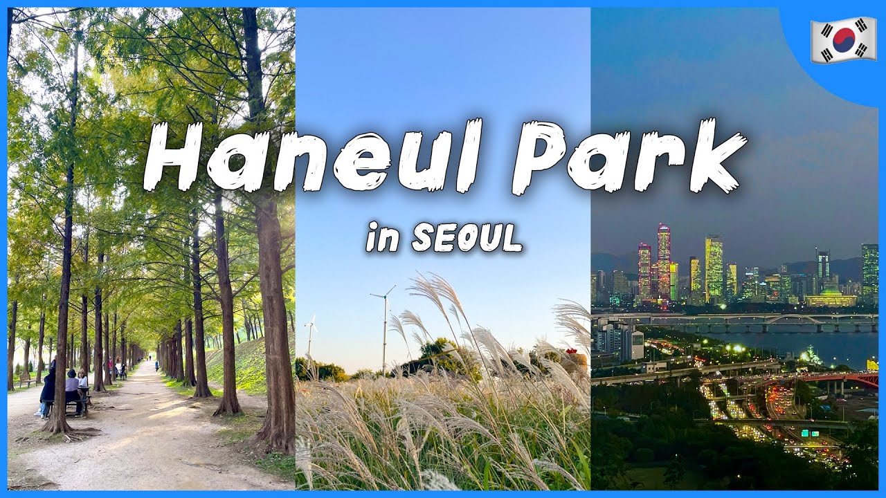 Haneul Park in SEOUL (Silver Grass Festival) | Korea Travel tips - YouTube