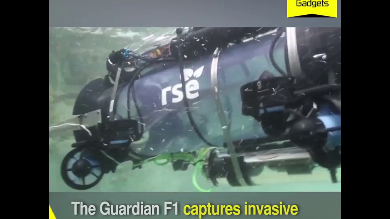 Guardian LF1 - YouTube