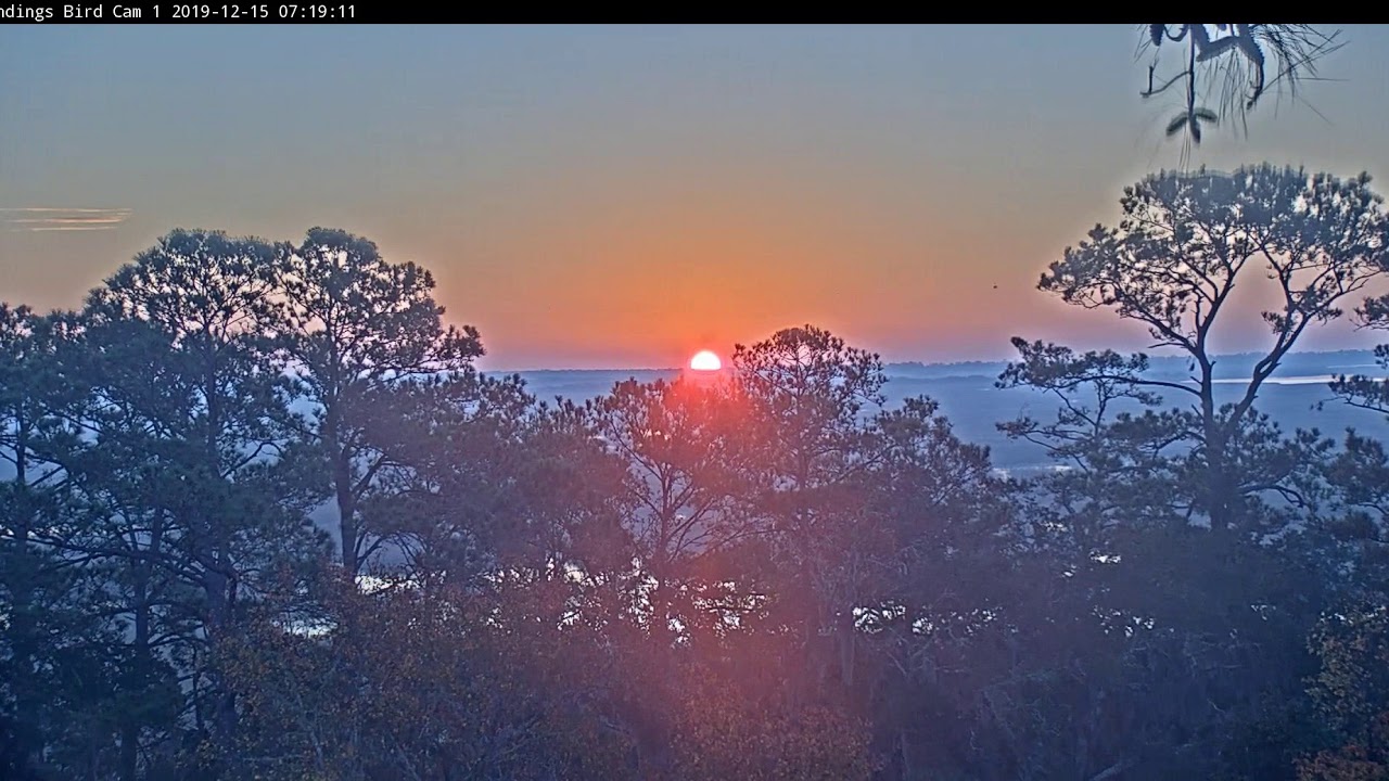 Rising sun 07 18 Video 2019 12 15 072115 - YouTube