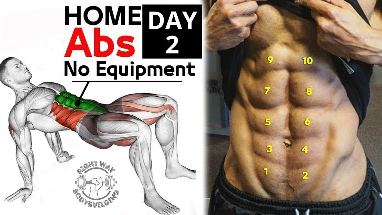 Get 6 PACK ABS in 28 Days Abs Workout Challenge(DAY2). - YouTube