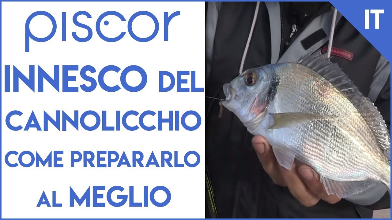 Innesco del Cannolicchio: Come Prepararlo con Successo - YouTube