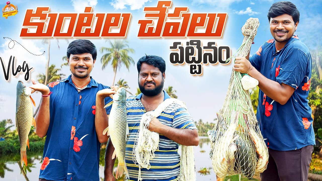 కుంటల చేపలు పట్టినం KUNTALA CHEPALU PATTINAM #VILLAGEFISHINGVLOG # ...