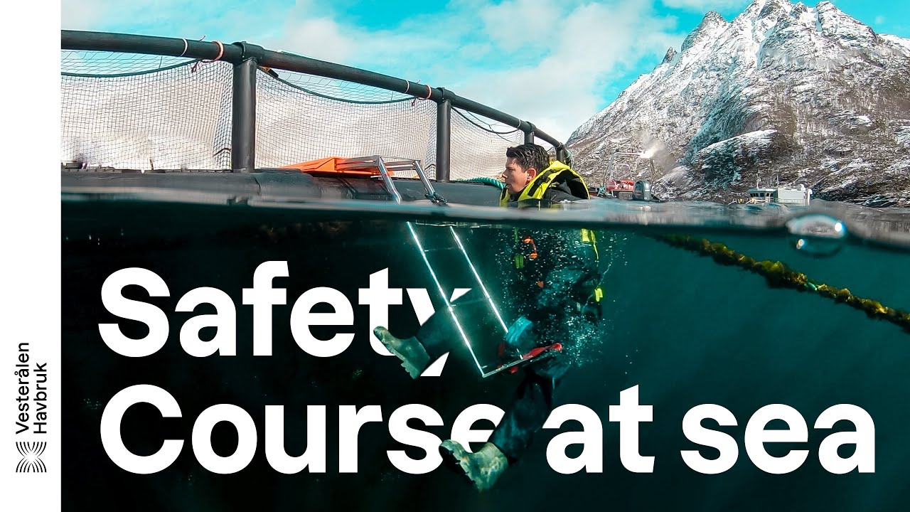 Safety course at sea - YouTube