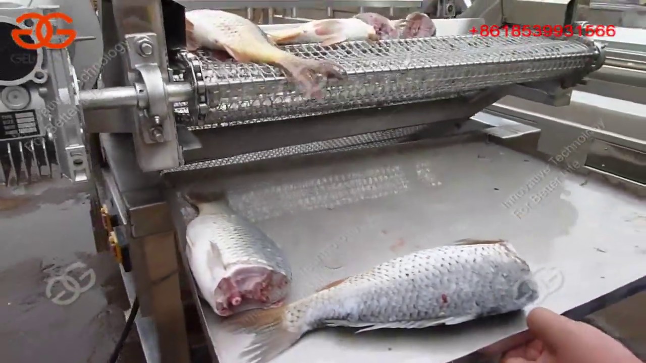 Fish washing and cleaning machine automatic - YouTube