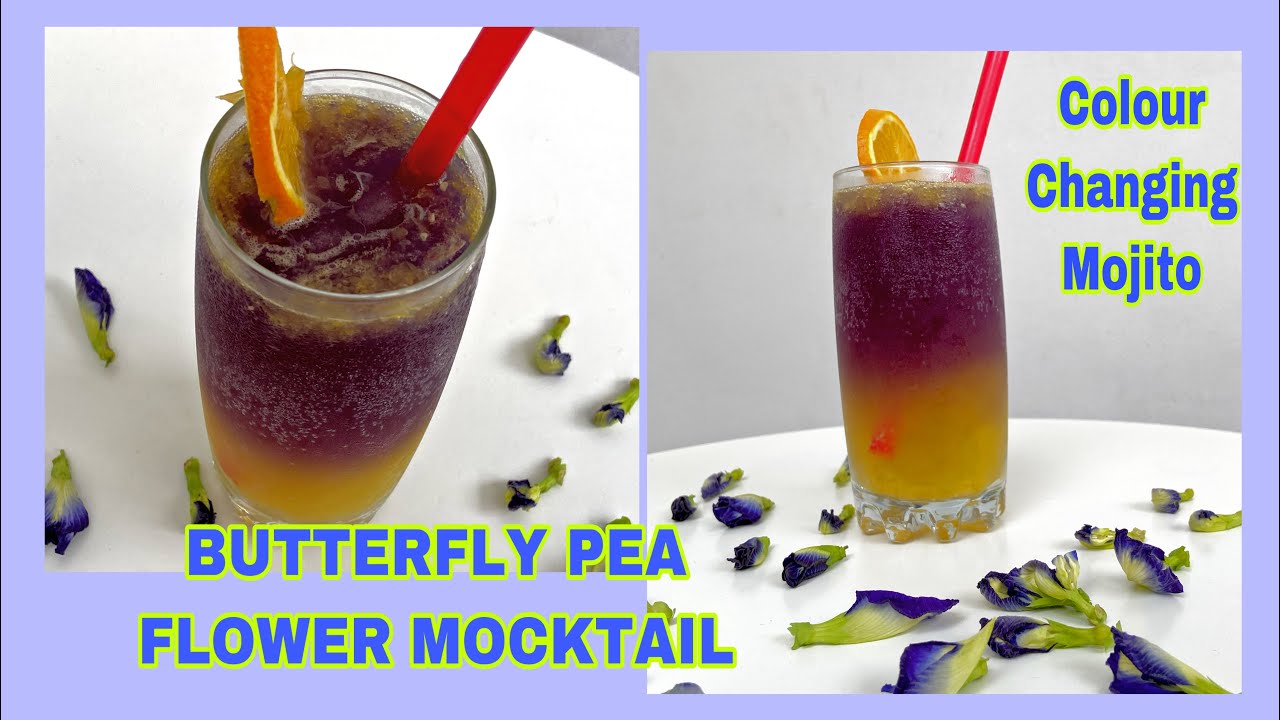 ORANGE & BLUE PEA MOCKTAIL | COLOUR CHANGING MOJITO | NON ALCOHOLIC ...