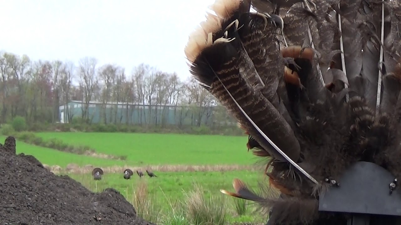 Spring Turkey Hunting 2019 - Misses - YouTube