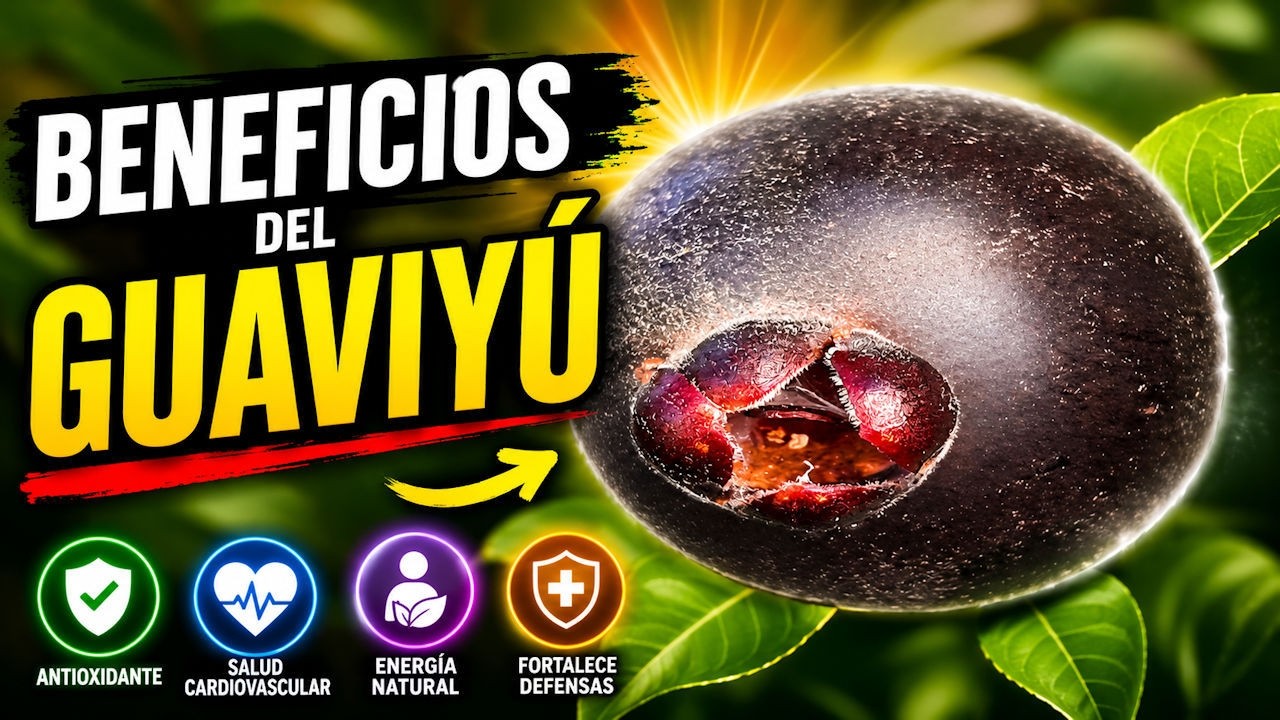⚪BENEFICIOS del GUAVIYÚ🍒 ️ (2021) - YouTube