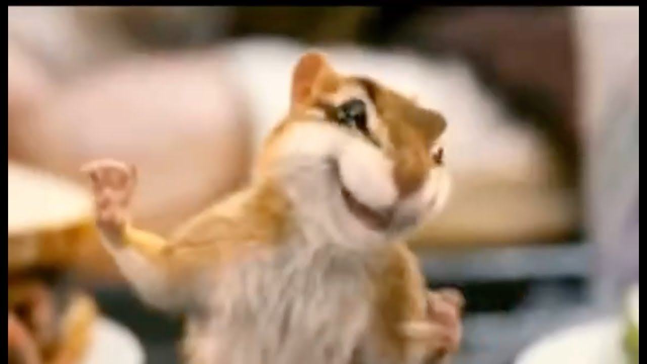 Enchanted pip the chipmuck - YouTube