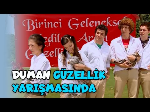 Geleneksel Kediler Arası Güzellik Yarışması - Acemi Cadı Özel Klip