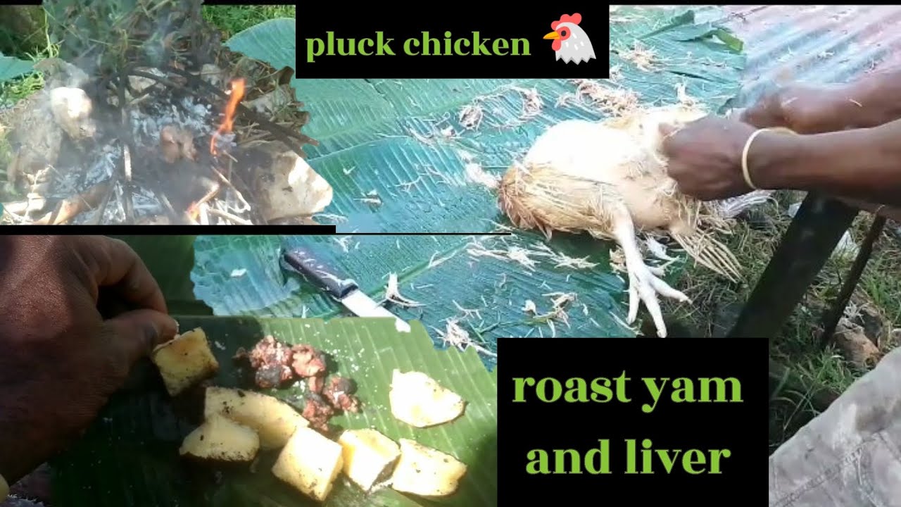 Pluck chicken then roast the liver with yam🐔 - YouTube