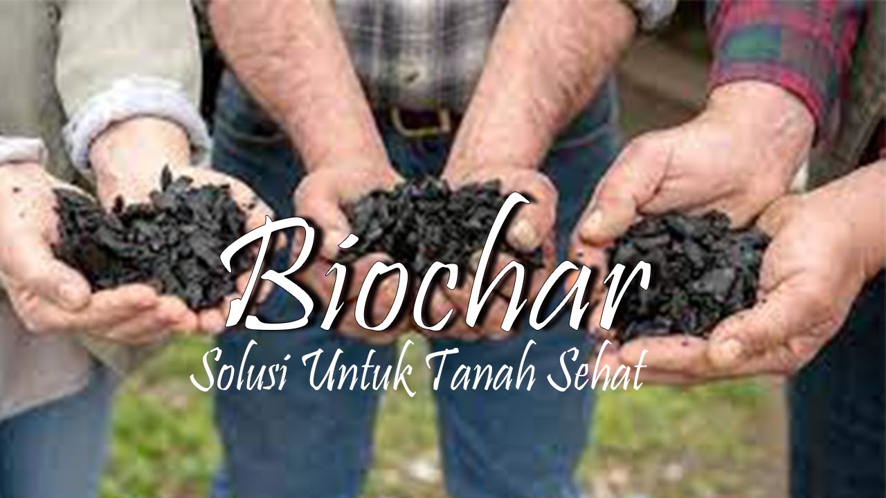 Project Biochar di Karawang Sehatkan Tanah Petani - YouTube