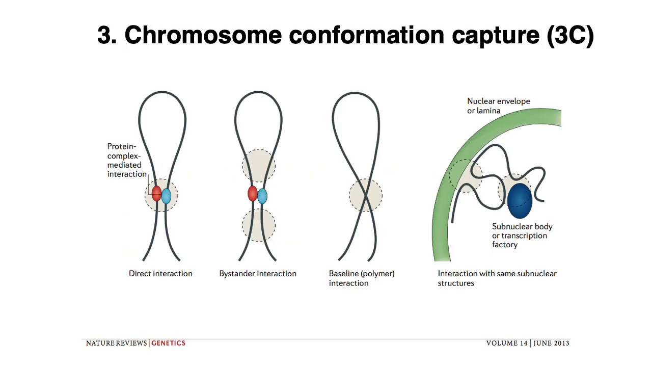 MCB 182 Lecture 3.4 - Genome assembly - Scaffolding contigs - YouTube