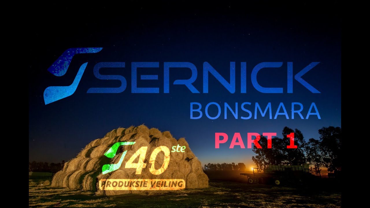 Sernick Auction 2018 - Part 1 - YouTube