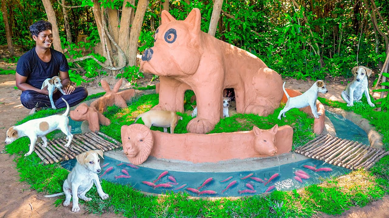 Build Pug Dog House For Rescue Puppies And Fish Pond - YouTube