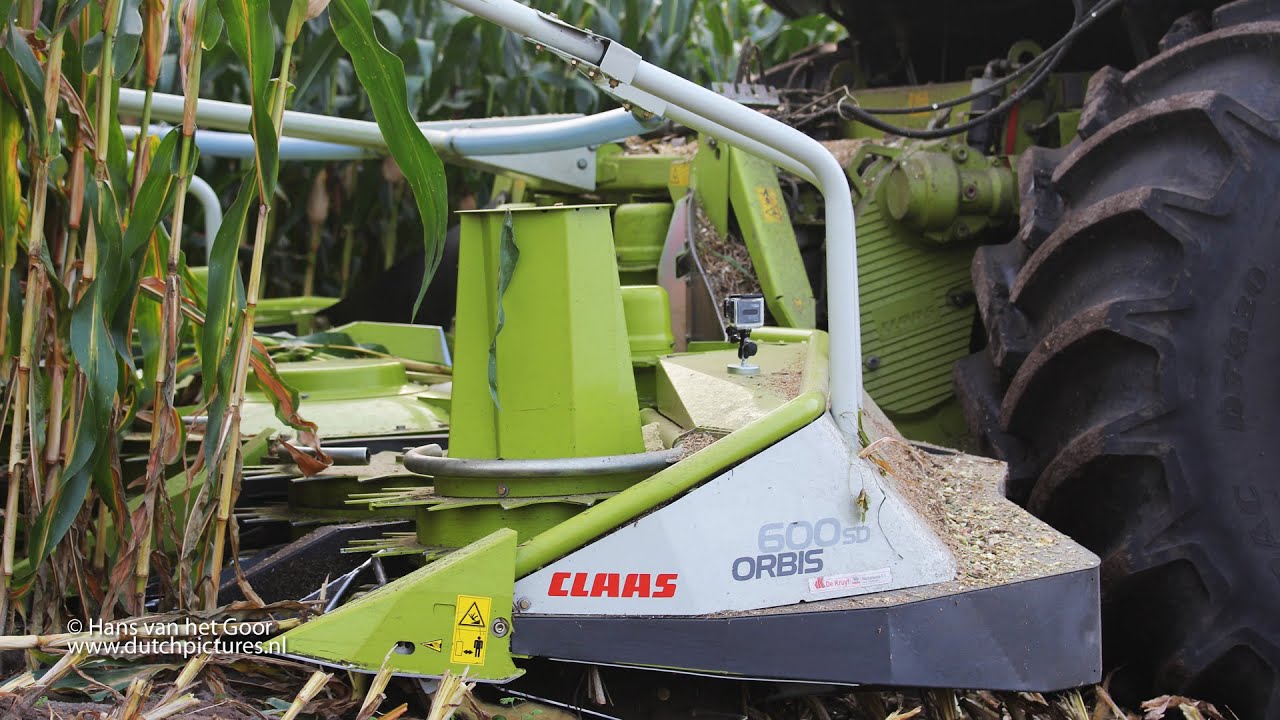 Claas Holland | Claas Orbis 600SD | Maisvoorzetstuk | Maize header ...