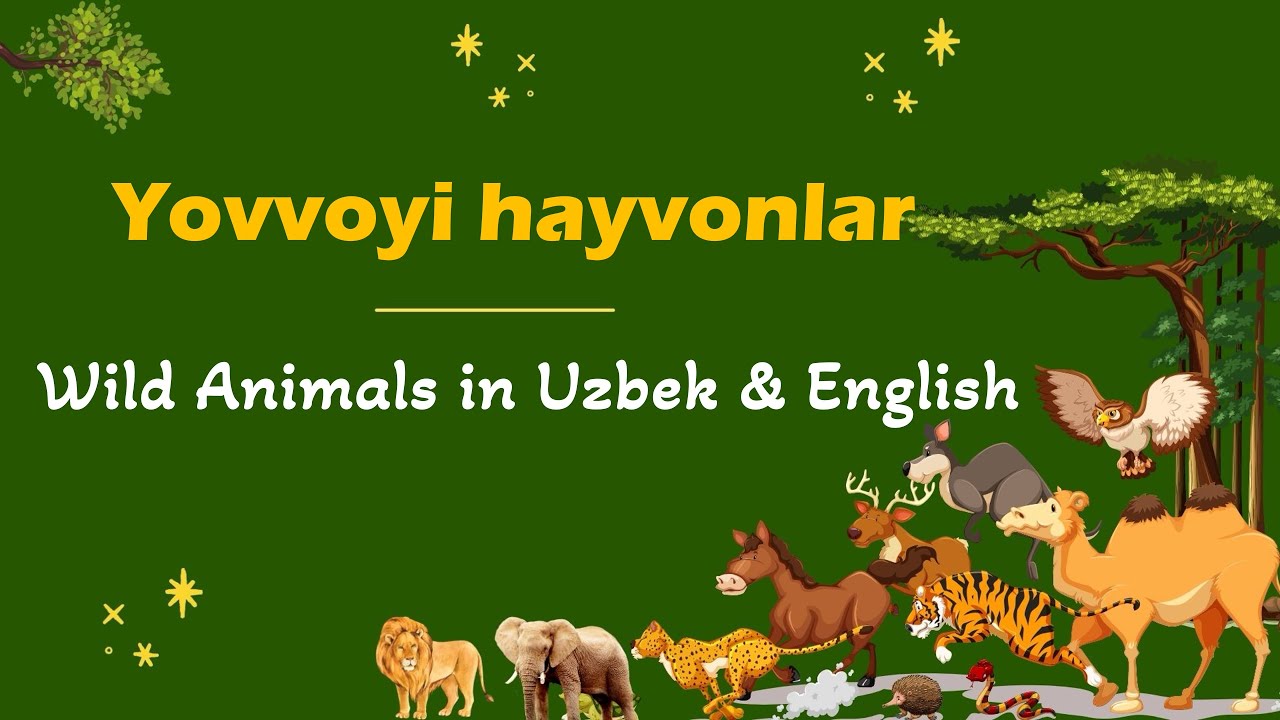 Yovvoyi hayvonlar - Wild Animals in Uzbek & English - YouTube