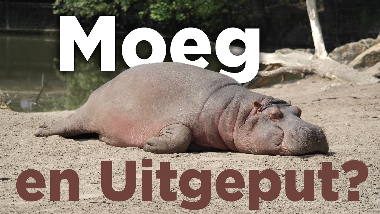 Preek // Lr. Jaco van Niekerk // Moeg of Uitgeput? - YouTube