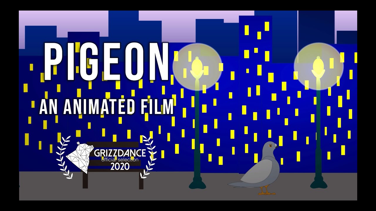 PIGEON | an animated film - YouTube