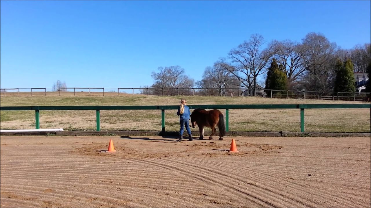 Final Emma Rudy Level One - YouTube