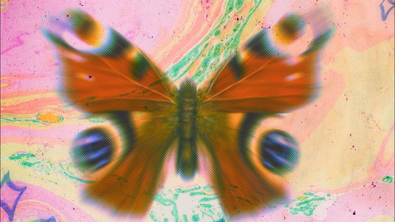 Projet papillon - processus en images - YouTube