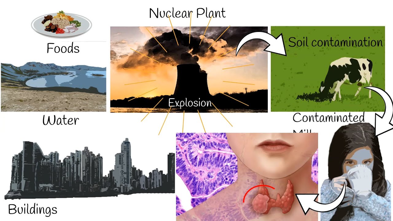 Nuclear Plant Explosion Health Effects; and Long term Risks. Radiation ...