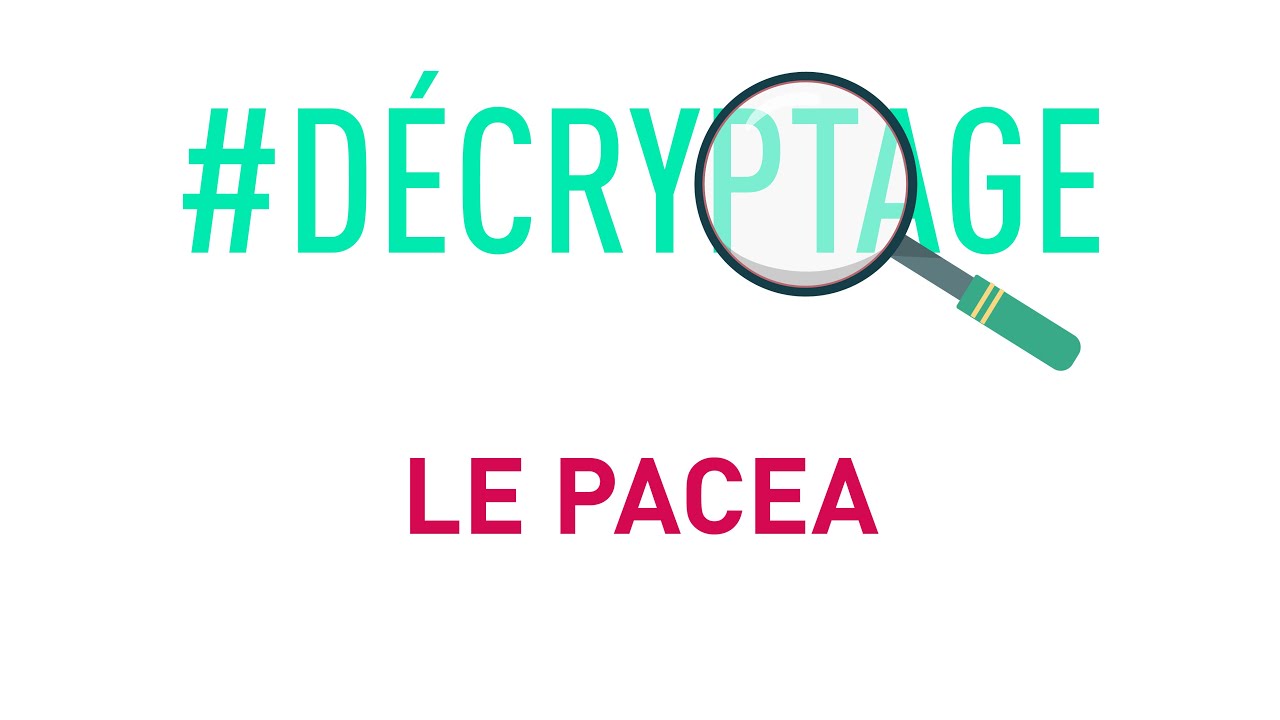 LE PACEA - YouTube