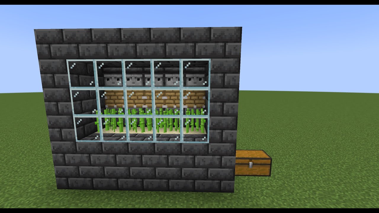 Harvesting only grown sugar cane efficient farm - Minecraft JAVA (maybe ...