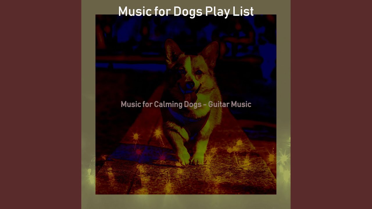 Terrific Cute Puppies - YouTube