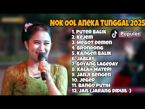 MUSIK KLASIK ( NOK OOL ) SANDIWARA ANEKA TUNGGAL //  KOLEKSI LAGU TARLING TERBARU 2025