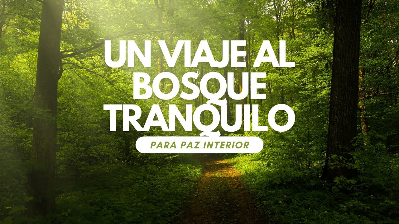 Visualización Guiada: Un Viaje al Bosque Tranquilo para Paz Interior ...