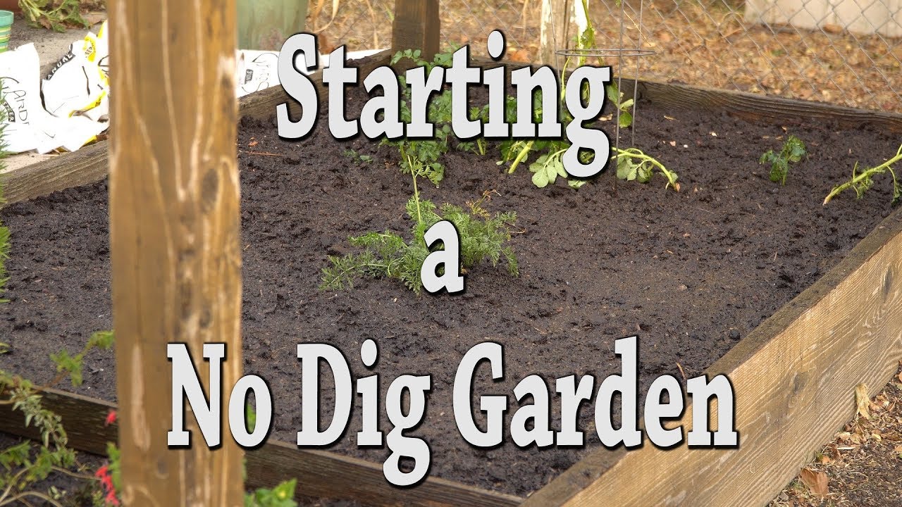 Starting a No Dig Garden - YouTube