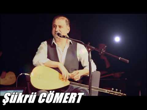 YİNE ARZULADIM BİZİM ELLERİ - ŞÜKRÜ CÖMERT