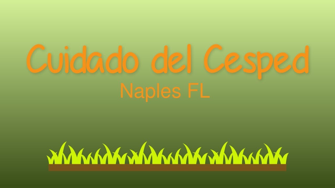 Cuidado del Cesped Naples FL - YouTube