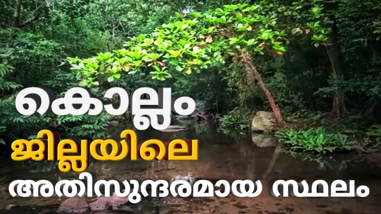 Most beautiful Place in kollam | Rosemala | Forest #kerala #travelvlog ...