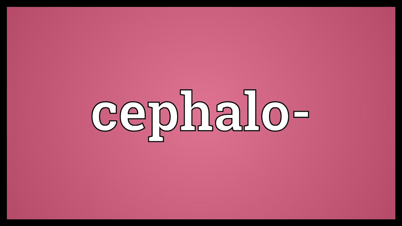 Cephalo- Meaning - YouTube