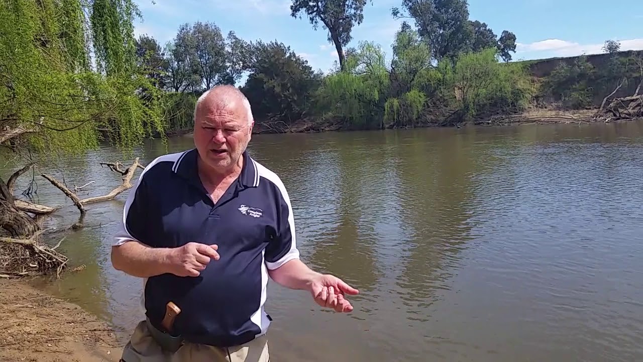 Fishing Report 26/09/19 - brought to you by Compleat Angler Wagga - YouTube