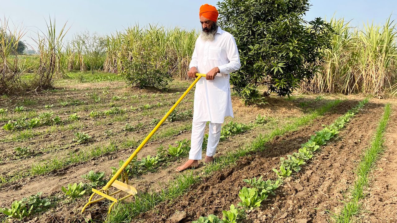 ਰਲਵੀ ਫਸਲ ਦੀ ਪਹਿਲੀ ਗੁਡਾਈ ਕੀਤੀ Farmer Life Kudrati kheti - YouTube
