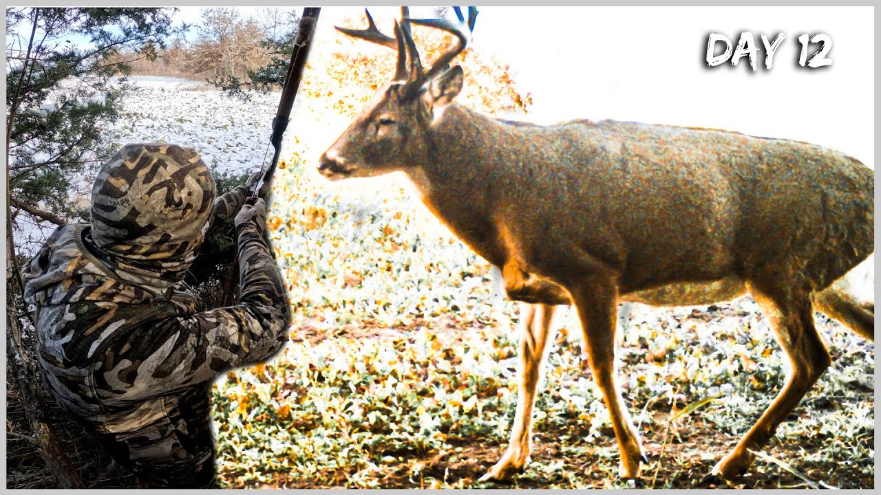 Day 12: Ground Attack on the BIGGEST BODIED DEER I've Seen - YouTube