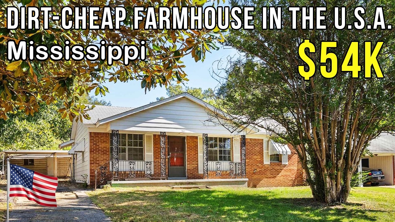 Dirt Cheap Forest Ms