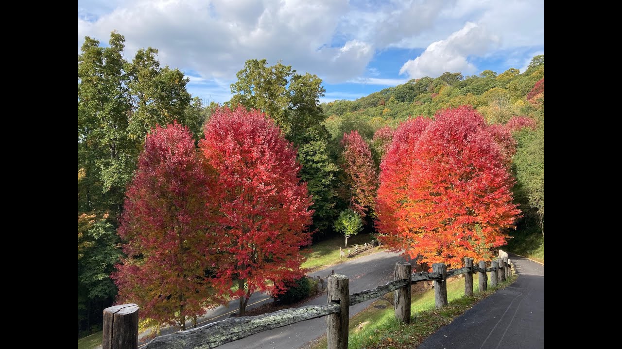 Jill Ayn's Detox Retreat in the Blue Ridge Mountains - YouTube