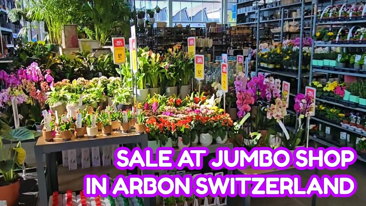 Presyuhan Ng Mga Paninda Ngayong Spring Dito Lang Sa Jumbo DIY Shop Sa ...