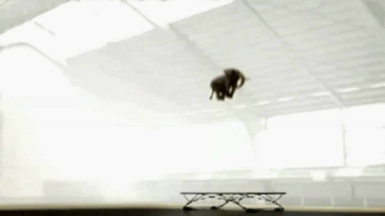 Funny Elefant Trampolin - YouTube