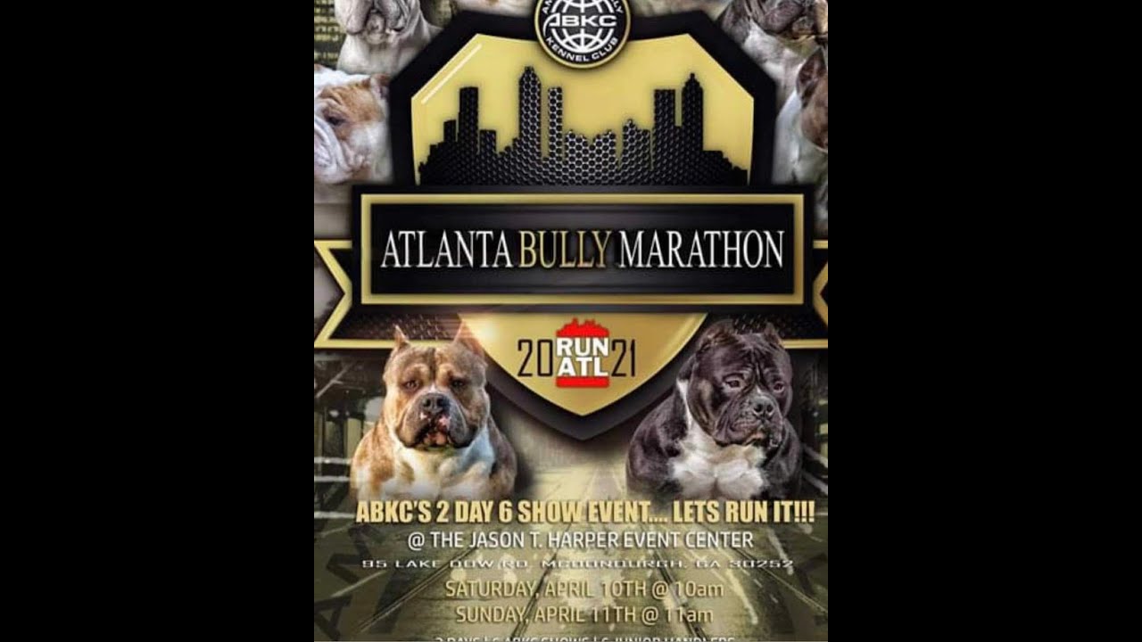 VLOG!!! My First American Bully Show. Atlanta Bully Marathon 2021. # ...